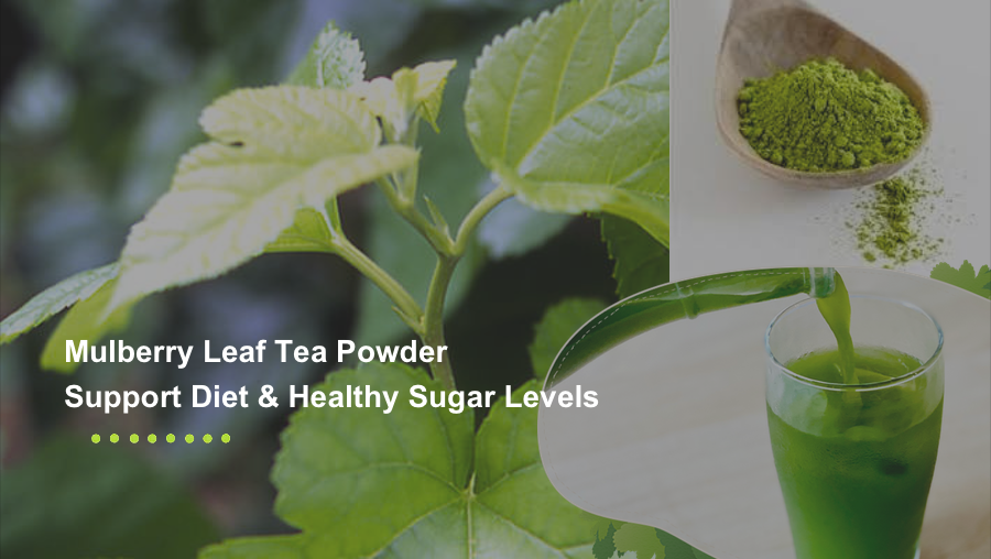 Mulberry Leaf Tea Powder ( Té Hoja de Mora KUWA MATCHA) – Grupo Fujiro